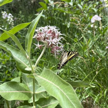 OXBOW NATURE STUDY AREA - Updated December 2025 - 139 Photos & 28 ...