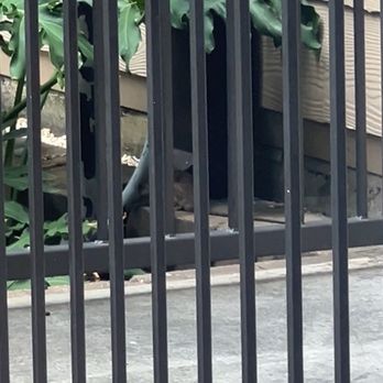 ION BATON ROUGE - Updated October 2025 - 52 Photos & 44 Reviews - 740 W ...