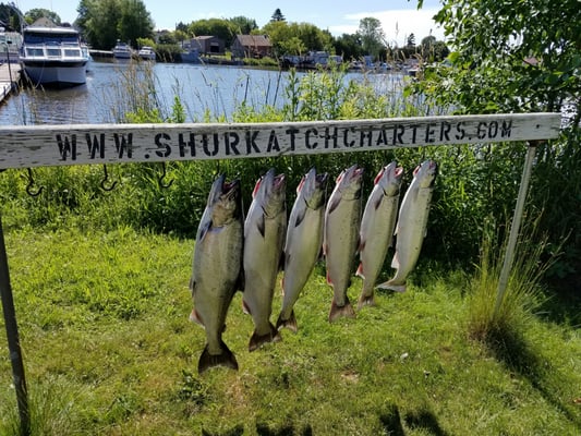 SHUR-KATCH CHARTERS - Updated October 2025 - 2015 East River St, Two ...