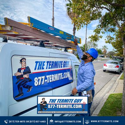 THE TERMITE GUY - Updated September 2025 - 80 Photos & 507 Reviews ...