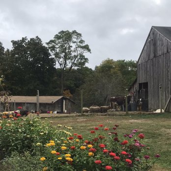 BLUEBIRD FARM CT - Updated December 2025 - 134 Photos - 211 Jared ...