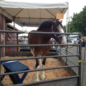 NORTHWEST WASHINGTON FAIRGROUNDS - Updated July 2025 - 81 Photos - 1775 ...