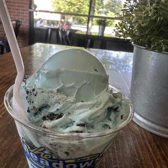 THE MEADOWS ORIGINAL FROZEN CUSTARD - Updated April 2025 - 184 Photos ...
