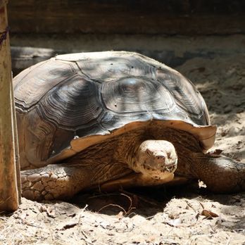 TWO TAILS RANCH - Updated December 2025 - 125 Photos & 94 Reviews ...