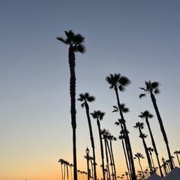 SANDY’S BEACH SHACK - Updated October 2025 - 1922 Photos & 1691 Reviews ...