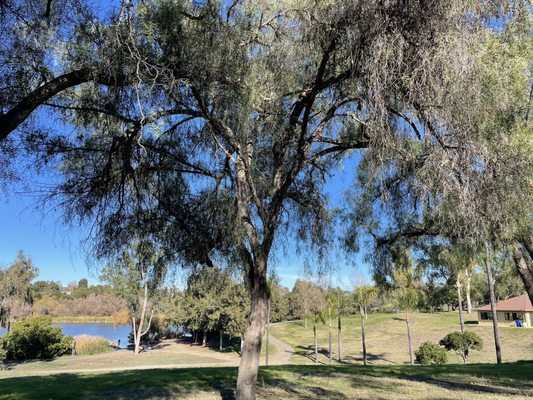 GUAJOME REGIONAL PARK - Updated July 2024 - 350 Photos & 135 Reviews ...