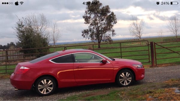 NIELLO ACURA - Updated October 2025 - 144 Photos & 474 Reviews - 150 ...