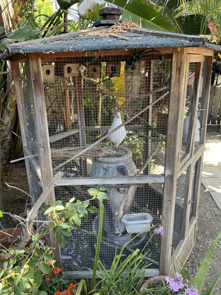 CINCERE DETAILZ - Updated December 2025 - Request a Quote - 135 Photos ...