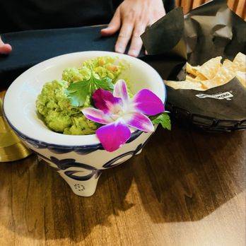 EL DON COCINA & CANTINA - Updated January 2025 - 169 Photos & 95 ...