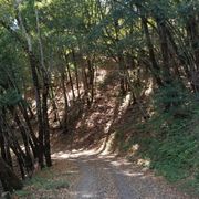 MIDPENINSULA REGIONAL OPEN SPACE DISTRICT - 40 Photos & 22 Reviews ...