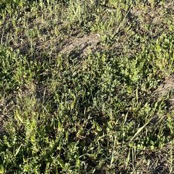 CAMP TALEGA - 64385 Cristianitos Rd, Camp Pendleton North, CA - Yelp