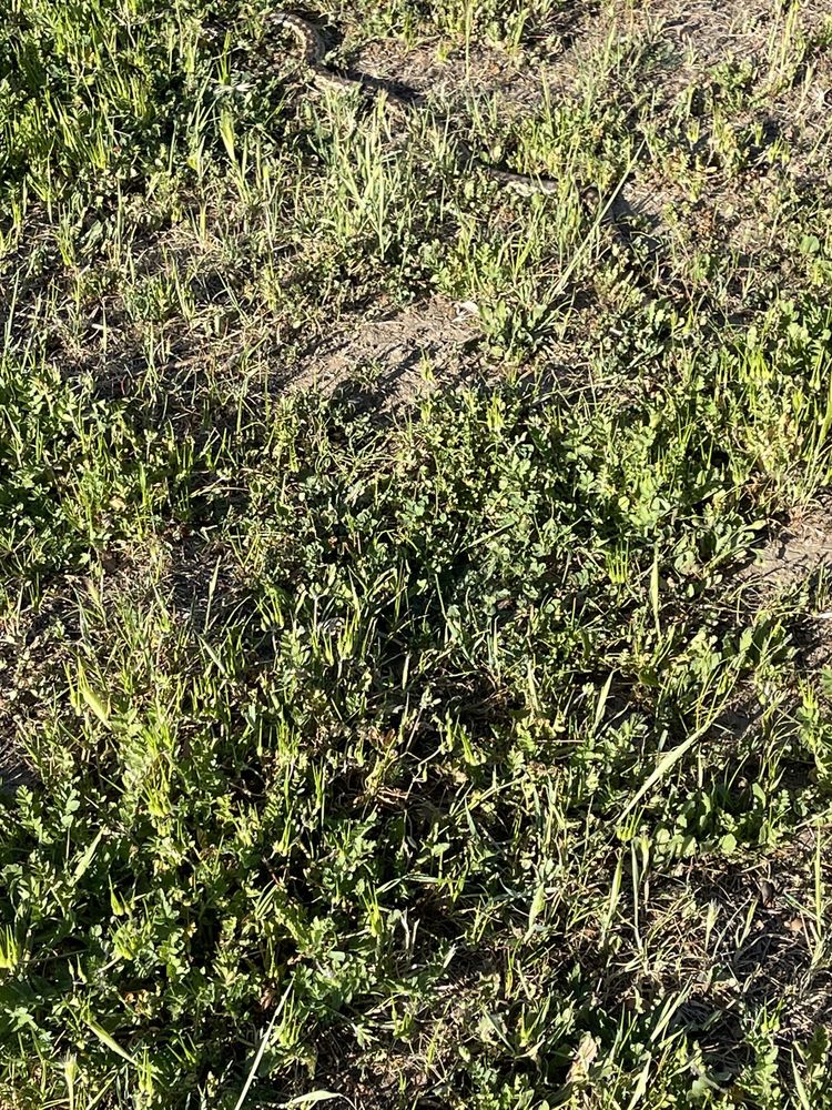 CAMP TALEGA - Updated December 2025 - 14 Photos - 64385 Cristianitos Rd ...