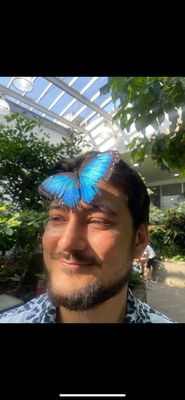 PIERRE CHEVROLET - Updated December 2025 - 87 Photos & 355 Reviews ...