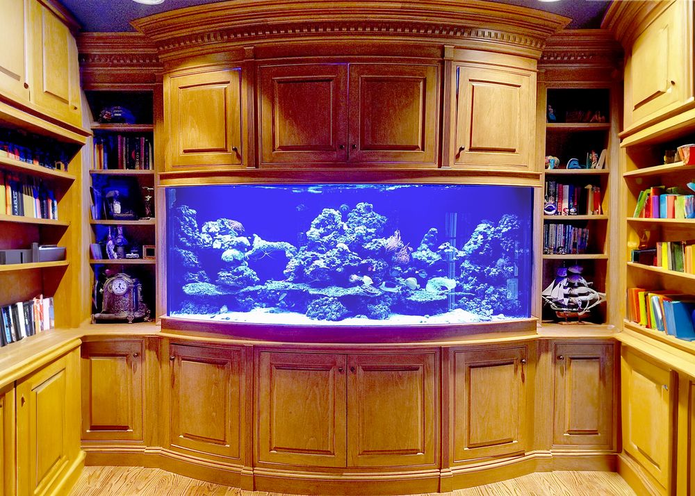 AQUARIUM DESIGN STUDIOS - Request Information - 19 Photos - Doylestown ...