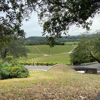 PALMAZ VINEYARDS - Updated November 2024 - 325 Photos & 156 Reviews ...