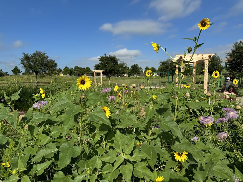 KATY PARK - Updated October 2025 - 65 Photos - 24927 Morton Ranch Rd ...