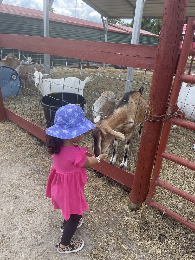 PETTING ZOO OCALA - Updated March 2025 - 96 Photos & 38 Reviews - 11150 ...