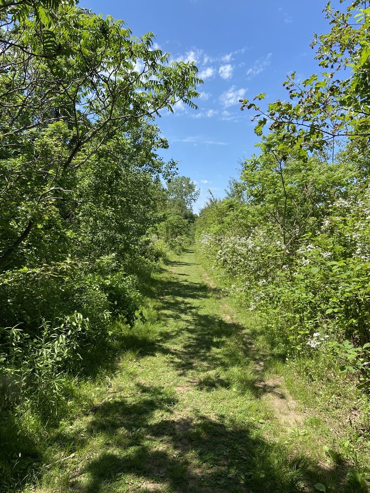 ERIE BLUFFS STATE PARK - Updated June 2026 - 20 Photos - 11122 W Lake ...