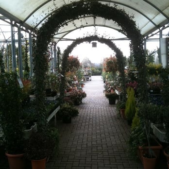 BIRCHEN GROVE GARDEN CENTRE - Updated July 2025 - Birchen Grove, London ...