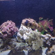 AQUARIUM & SHARK LAB BY TEAM ECCO - TEMP. CLOSED - 37 Photos & 14 ...