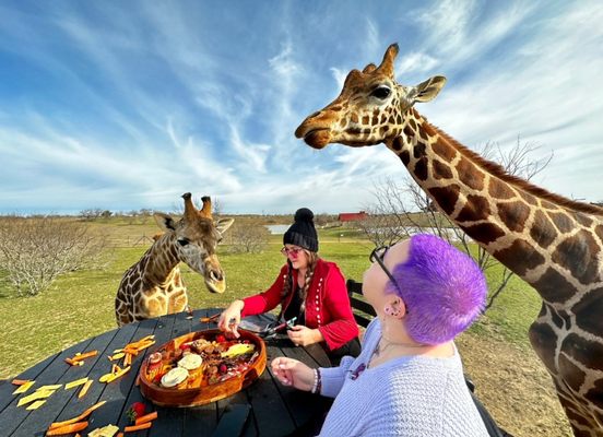 BLUE HILLS RANCH - 100 Photos & 20 Reviews - 2032 Blue Cut Rd N ...