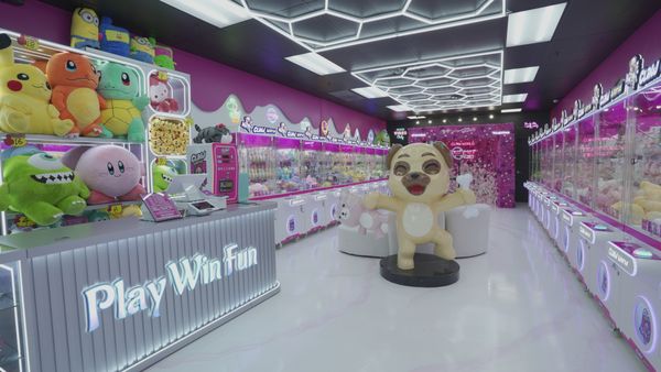 CLAW WORLD - Updated February 2025 - 360 Photos & 259 Reviews - 8665 W ...