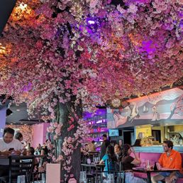 SORA - Updated December 2024 - 469 Photos & 180 Reviews - 1121 W 10th ...