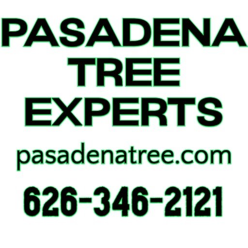 PASADENA TREE EXPERTS - Updated May 2025 - 1308 East Colorado Blvd ...