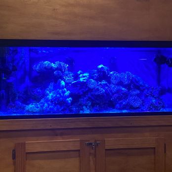 THE FISH COMPANY - Updated May 2024 - 688 Photos & 460 Reviews - 725-12 ...