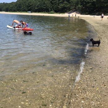 PORT JEFF DOG BEACH - Updated January 2026 - 35 Photos - 12 Buena Vista ...