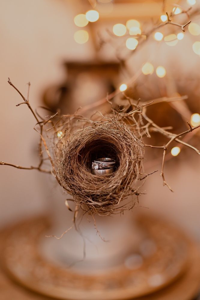 AUSTIN & ELKINS - Updated September 2025 - 29 Photos & 11 Reviews ...