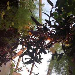 BAR SUZANNE - Updated October 2025 - 112 Photos & 51 Reviews - 20 ...