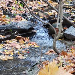 WALHALLA RAVINE - 18 Photos UPDATED - Landmarks & Historical Buildings ...