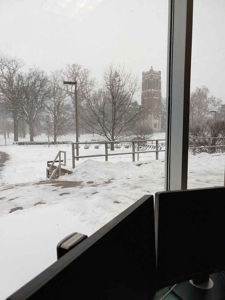 MSU MAIN LIBRARY - Updated October 2025 - 366 W Circle Dr, East Lansing ...