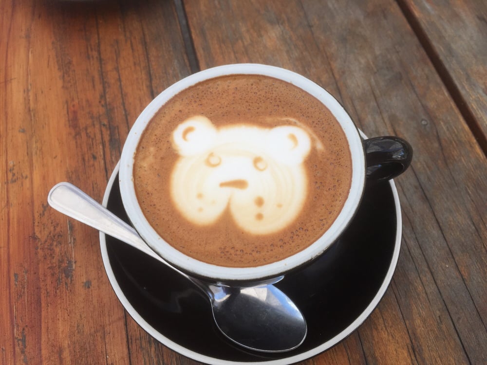 ILEX CAFE - Updated August 2025 - 18 Photos - Armagh St, Christchurch ...