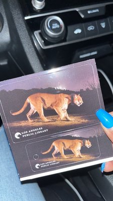 STUDIO CITY BRANCH LIBRARY - Updated December 2025 - 27 Photos & 77 ...