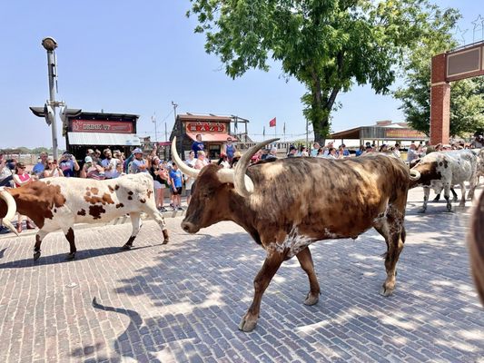 THE 10 BEST Things to Do in Walnut Springs, TX - 2025 - Yelp