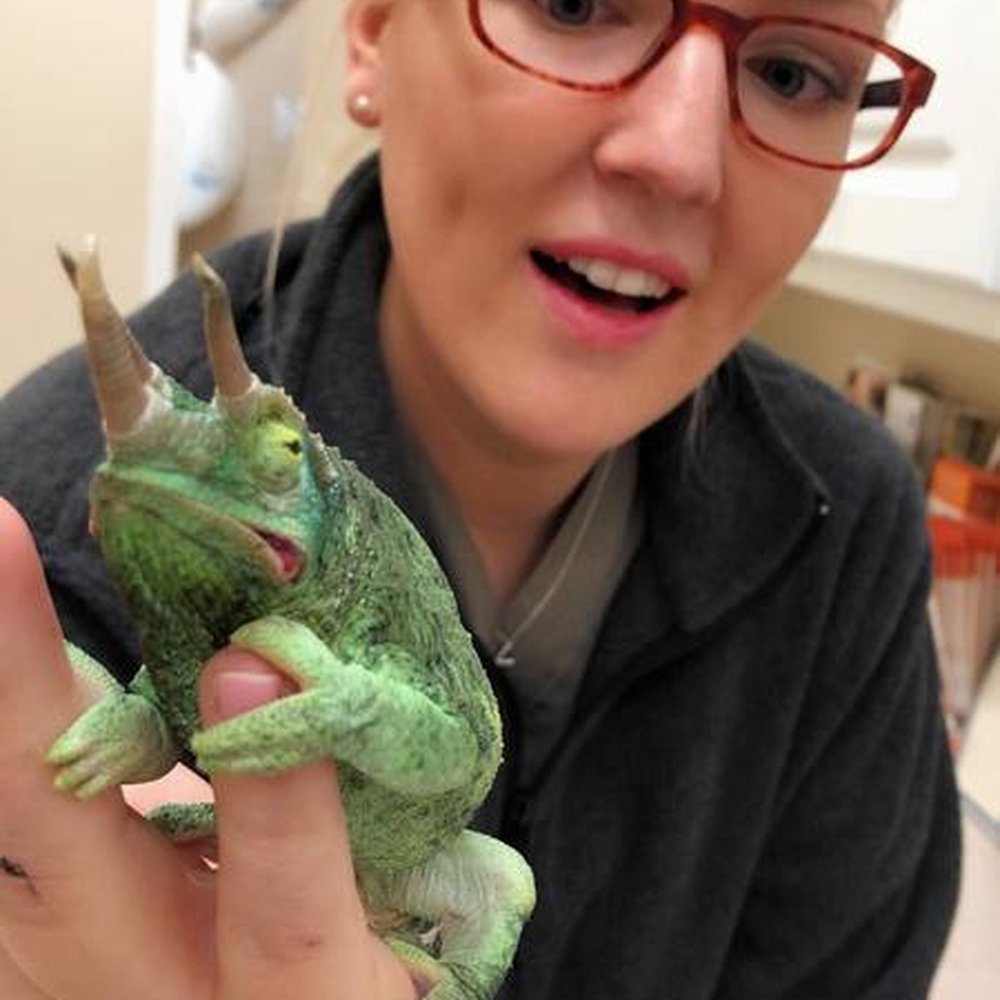 Sherry Abney's Instagram, Twitter & Facebook on IDCrawl