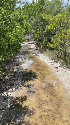 LONG KEY STATE PARK - Updated July 2025 - 174 Photos & 71 Reviews ...