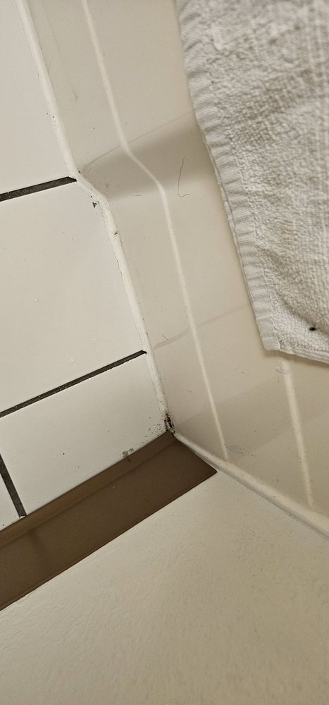 BISON INN AND SUITES - Updated September 2025 - 35 Photos - 3518 ...