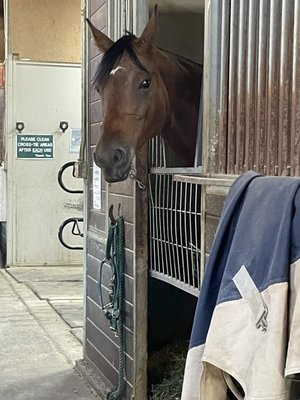 SUMMIT RANCH EQUINE CENTER - Updated September 2025 - 65 Photos & 14 ...