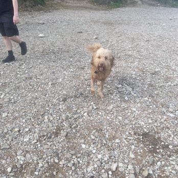 ROY G GUERRERO COLORADO RIVER PARK - Updated October 2025 - 49 Photos ...