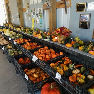 MENARDS - Updated February 2025 - 21 Reviews - 3340 Vandiver Dr ...