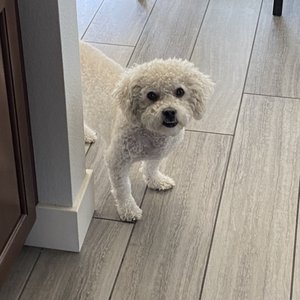 FRIENDS OF ORANGE COUNTY’S HOMELESS PETS - 53 Photos & 46 Reviews ...