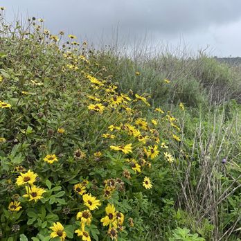 POINT VICENTE INTERPRETIVE CENTER - Updated July 2024 - 1034 Photos & 204 Reviews - 31501 Palos ...