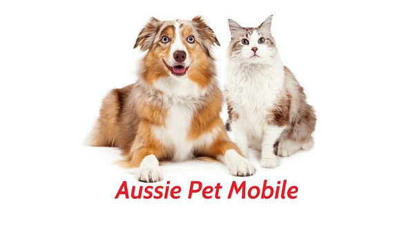 AUSSIE PET MOBILE OF CARY AND PITTSBORO - Updated October 2025 - 22 Photos & 12 Reviews - Apex ...