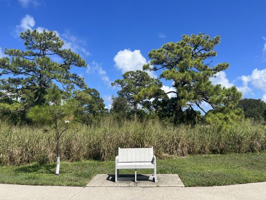 CORNELL PARK - Updated May 2024 - 10 Photos - 301 NW 9th St, Delray ...