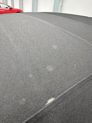 BLUE DIAMOND DISPOSAL - Updated January 2026 - 22 Photos & 22 Reviews ...