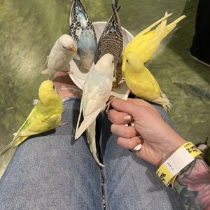 BLANK PARK ZOO - Updated September 2024 - 298 Photos & 84 Reviews ...