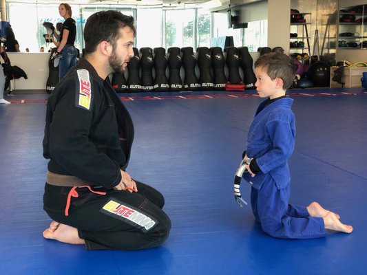 ELITE MMA - GREENWAY PLAZA - Updated May 2026 - 38 Photos & 30 Reviews ...